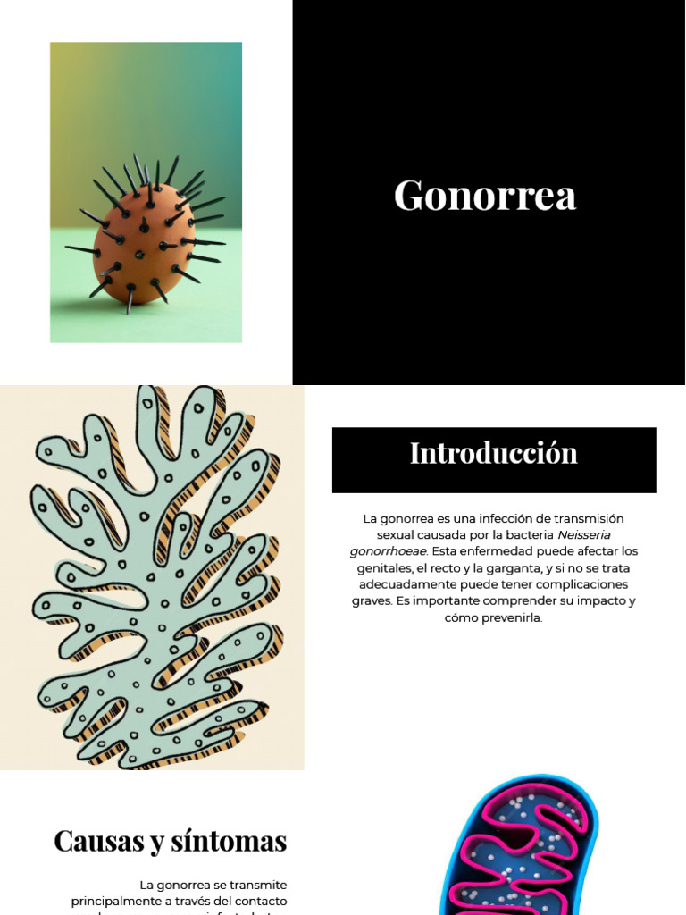 Wepik La Gonorrea Una Infeccion Sexualmente Transmisible Ist De