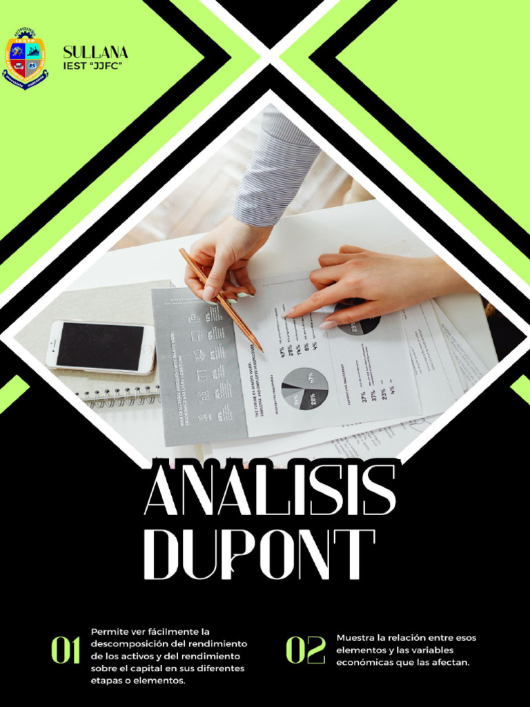 Analisis Dupont - Informe | PDF | Rentabilidad sobre recursos propios | Business