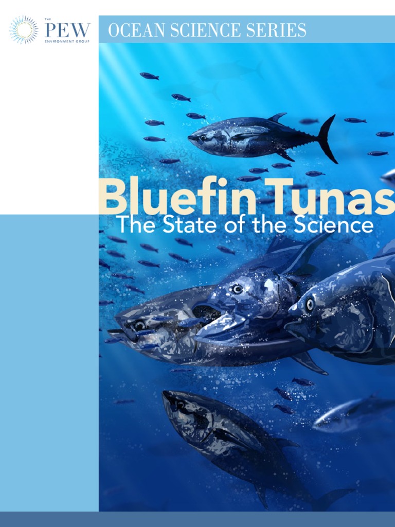 Bluefin Tuna Overfishing