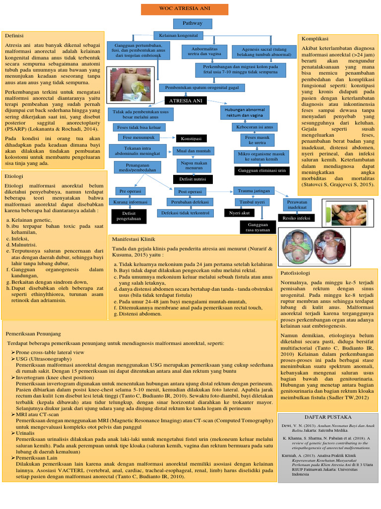 Woc Atresia Ani KLP 2 | PDF