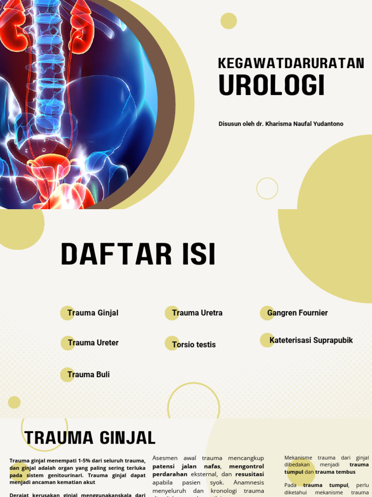 Panduan Darurat Urologi | PDF