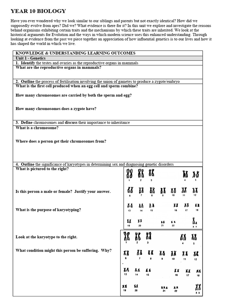Yr10 Biology Revision Guide | PDF | Dominance (Genetics) | Zygosity