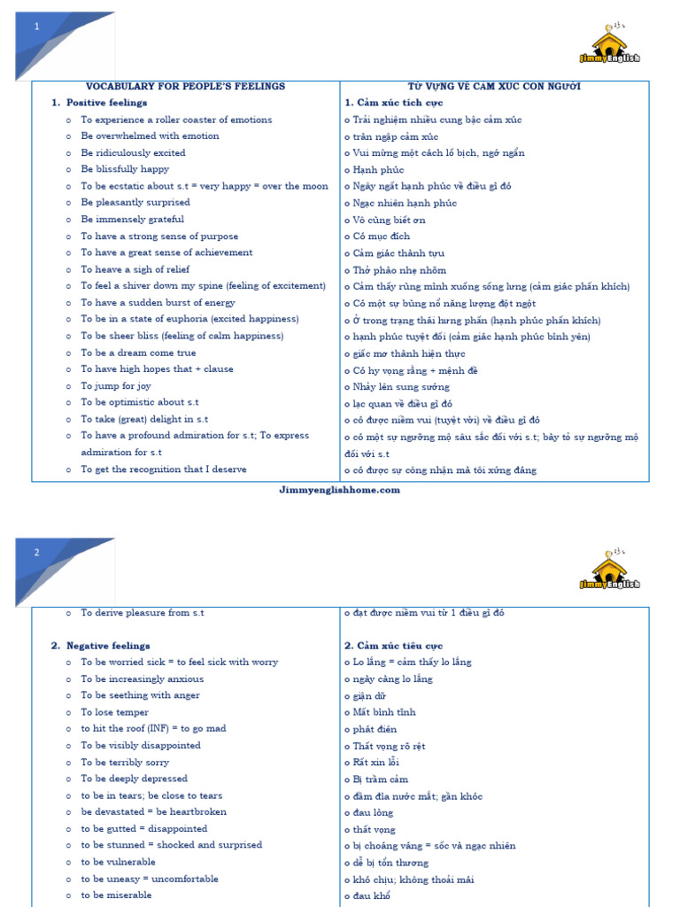Vocabulary For Feelings | PDF