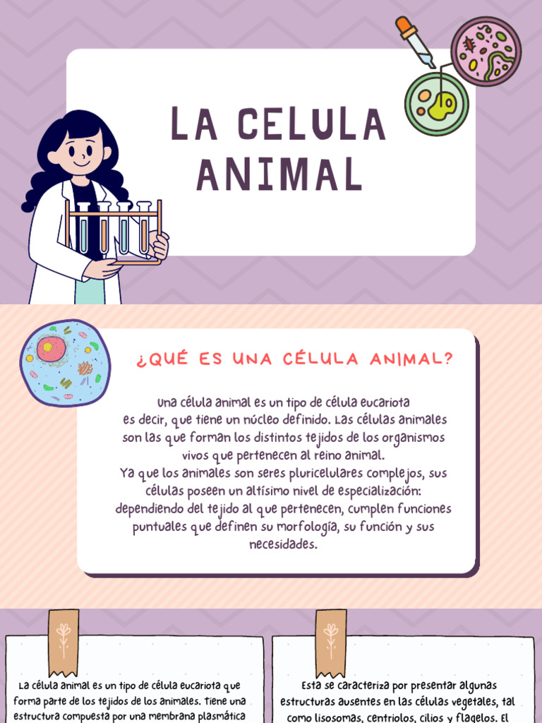 Célula Animal | PDF | Biología Celular) | Citoplasma