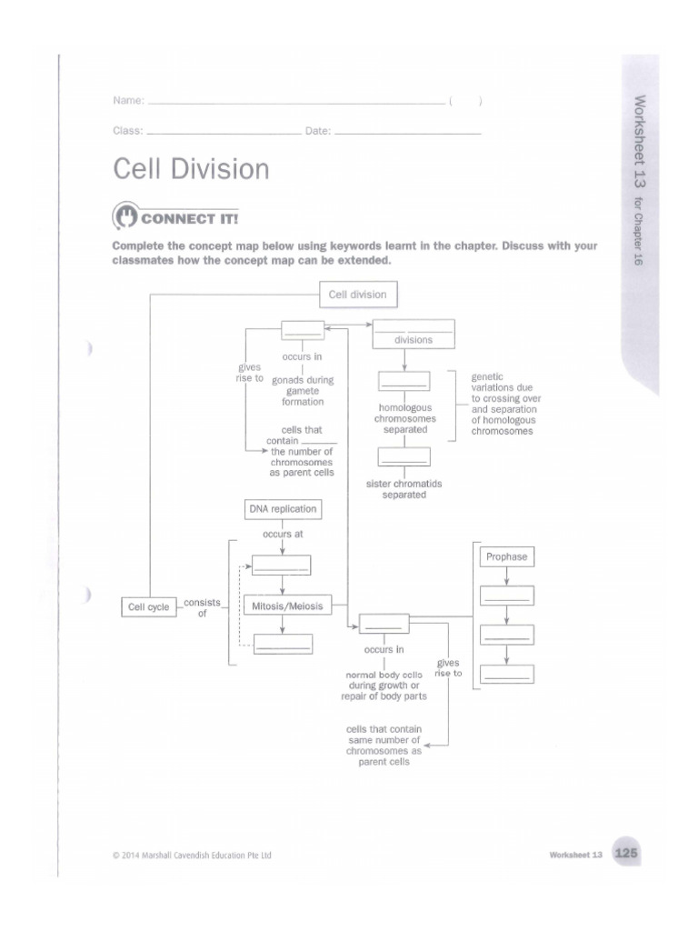 Cell division | PDF