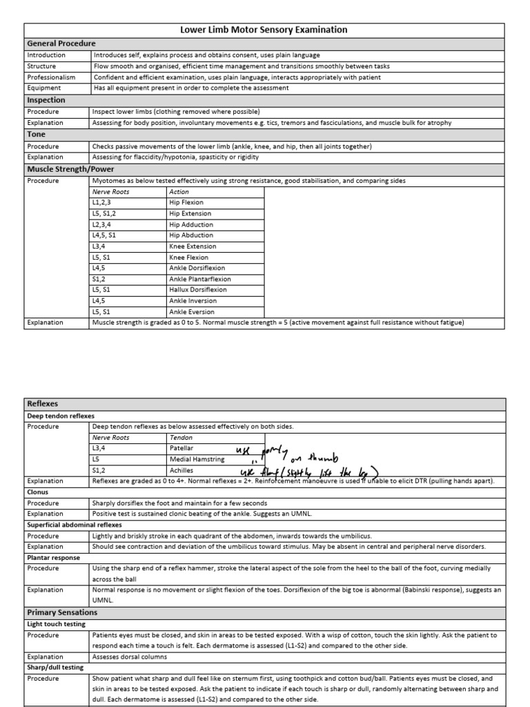Lower Limb Motor Sensory Exam Guide | PDF | Anatomical Terms Of Motion ...