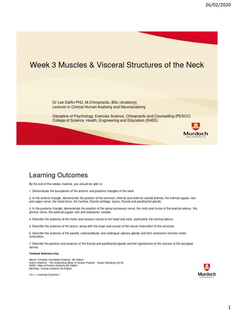 2020 CHI255 Week 3 Muscles Visceral Structures of The Neck - 2 Slides ...