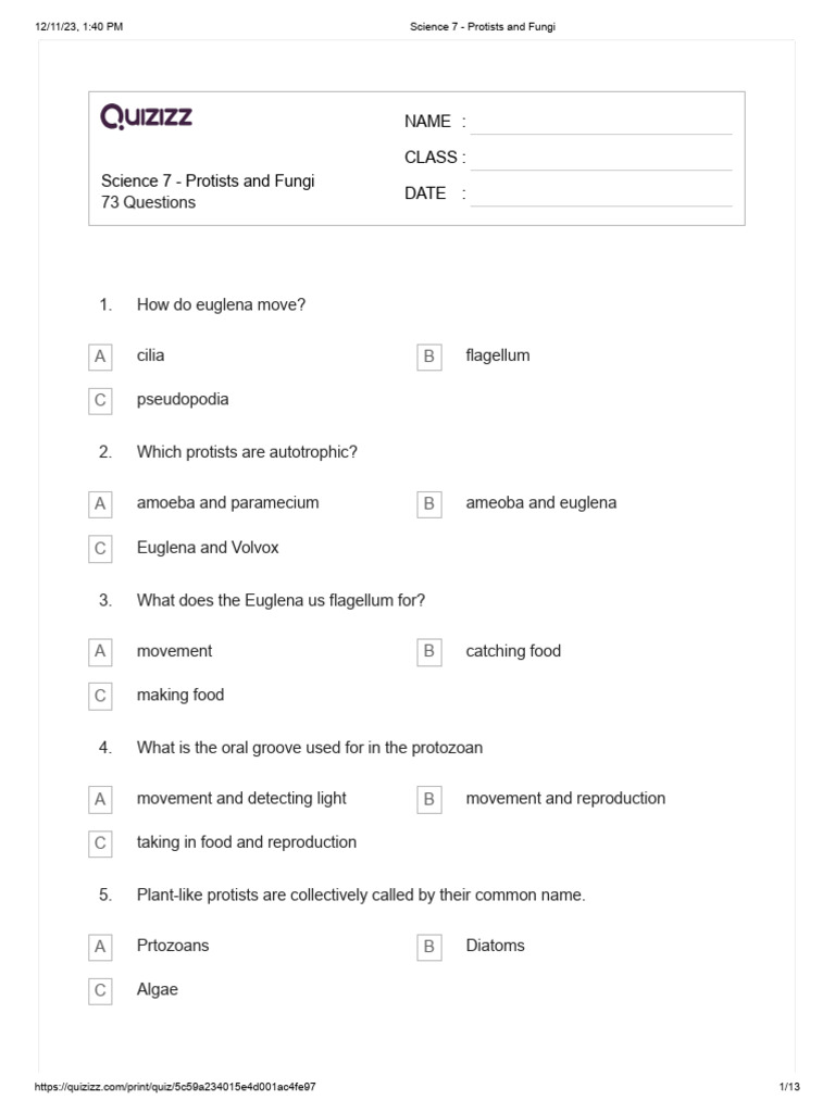 Protists and Fungi | PDF | Fungus | Protozoa