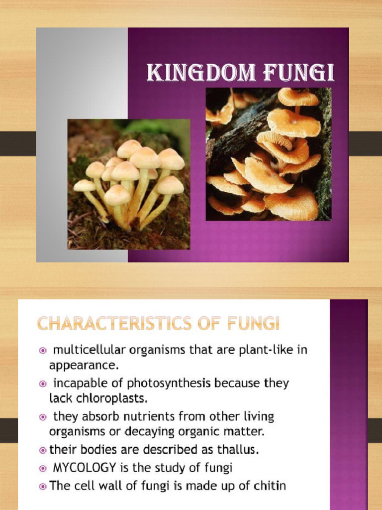 Kingdom Fungi | PDF