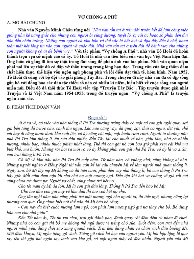 Vcap 6 Đo N-HS | PDF