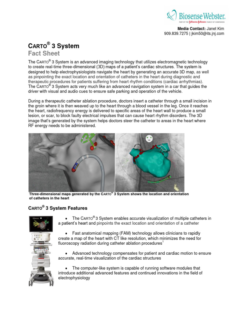 Carto3 Fact Sheet | PDF | Heart | Catheter