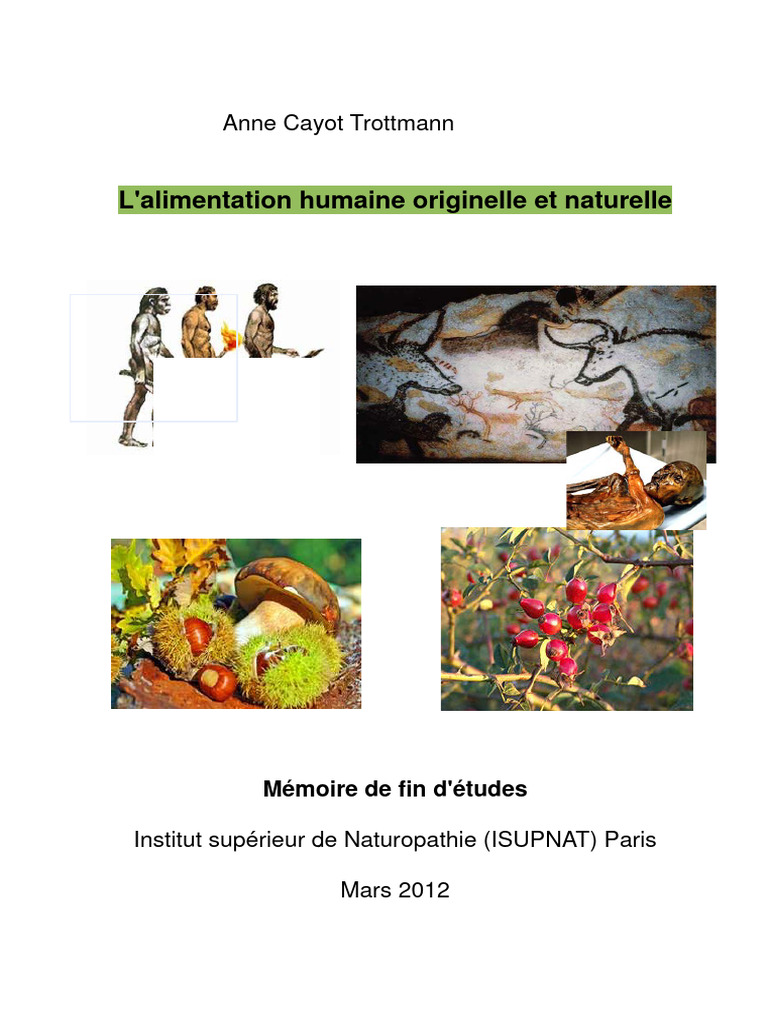 Alimentation humaine : origines et santé | PDF | Hominidae | Humain