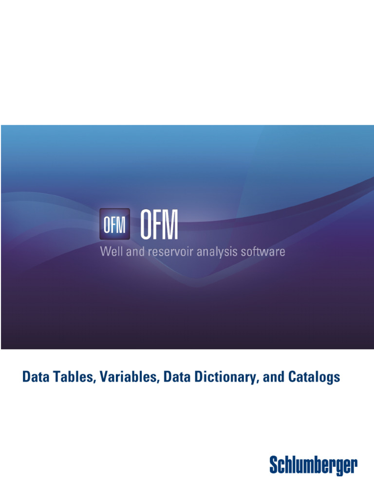 OFM Data Tables, Variables, Data Dictionary, and Catalog | PDF | Table (Database) | Icon (Computing)