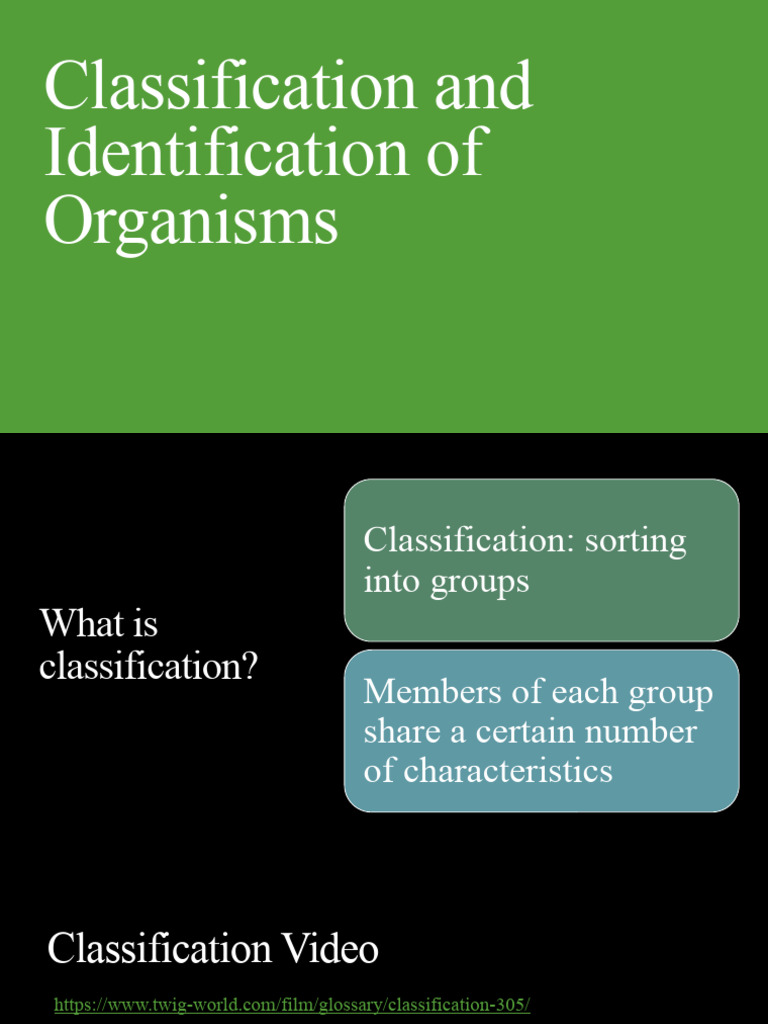 Classification | PDF