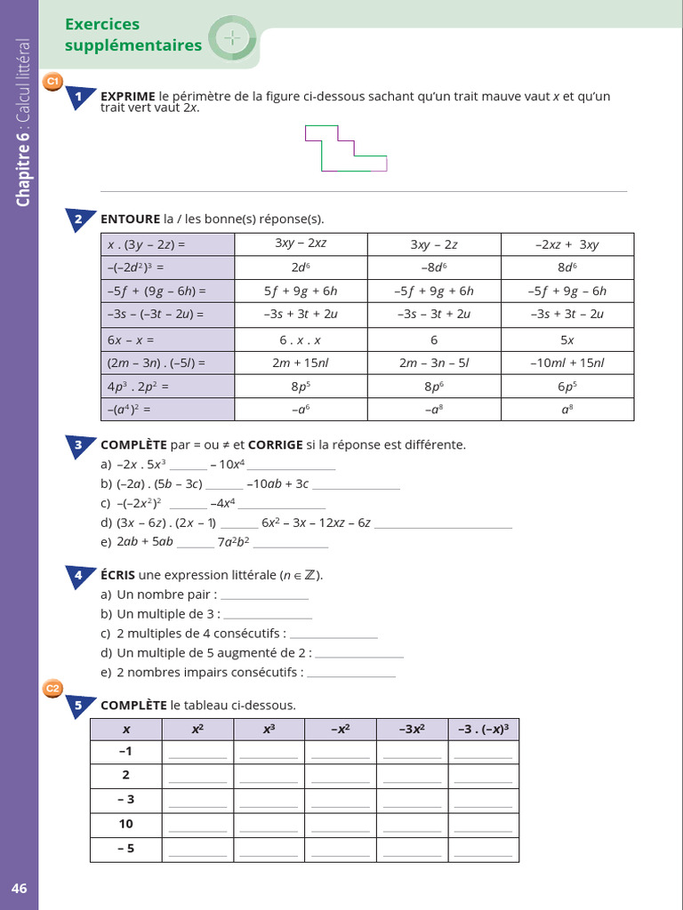 Ch 6 Calcul Litteral Exercices Supplementaires Pdf