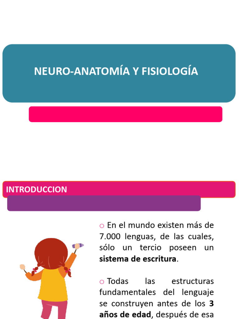 Neuro Anatomía y Fisiología | PDF
