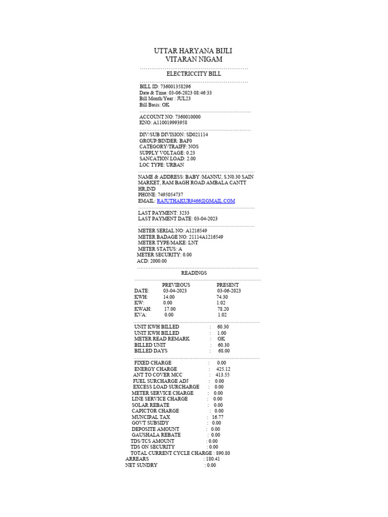 Haryana Electricity Bill Payment Guide | PDF | Power (Physics ...