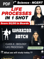 Class 10 Life Process Mind Map and Notes | PDF | Social Science ...