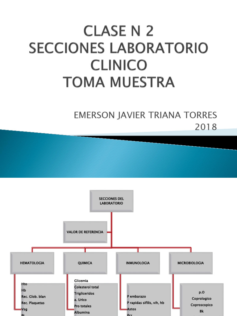 Clase 2 Areas Laboratorios | PDF | Especialidades Medicas | Medicina CLINICA