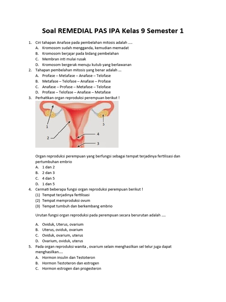 Soal Remedial IPA Kelas 9 Semester 1 | PDF