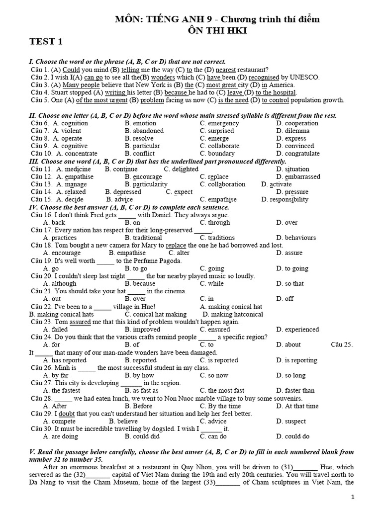 ôn thi HKI tiếng Anh lớp 9 chương trình thí điểm (With key) | PDF | Adolescence | Vietnam