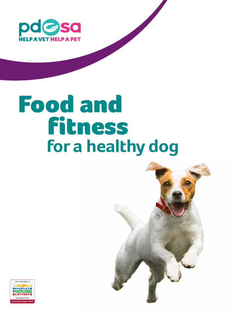 Pdsa Food and Fitness For A Healthy Dog | PDF | Obesity | Dogs