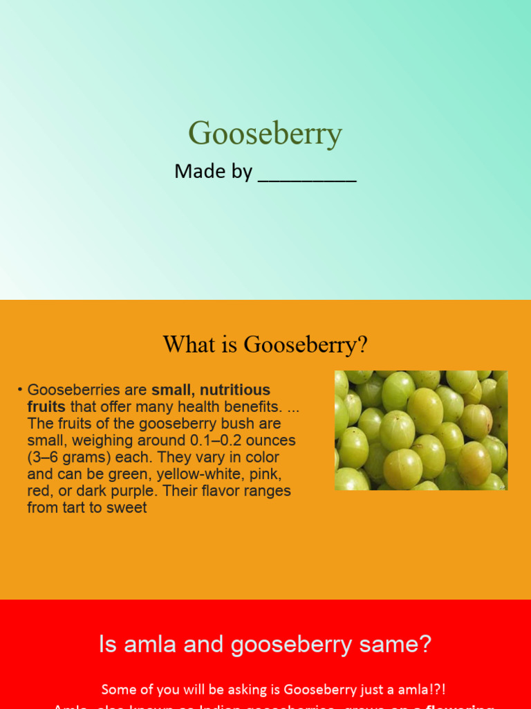 Gooseberry Templete | PDF
