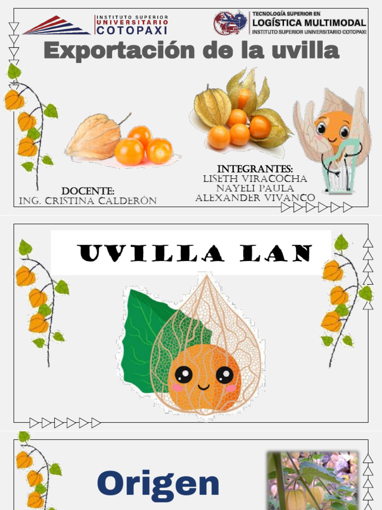 Uvilla Presentacion | PDF