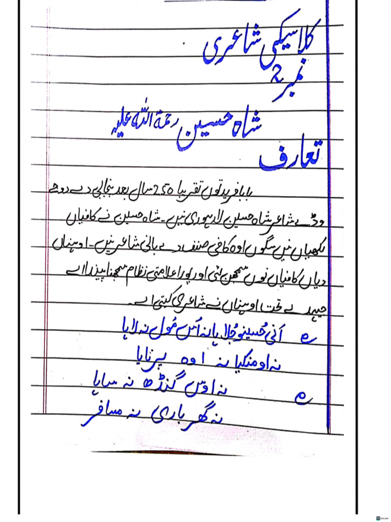 CSS Punjabi Notes | PDF