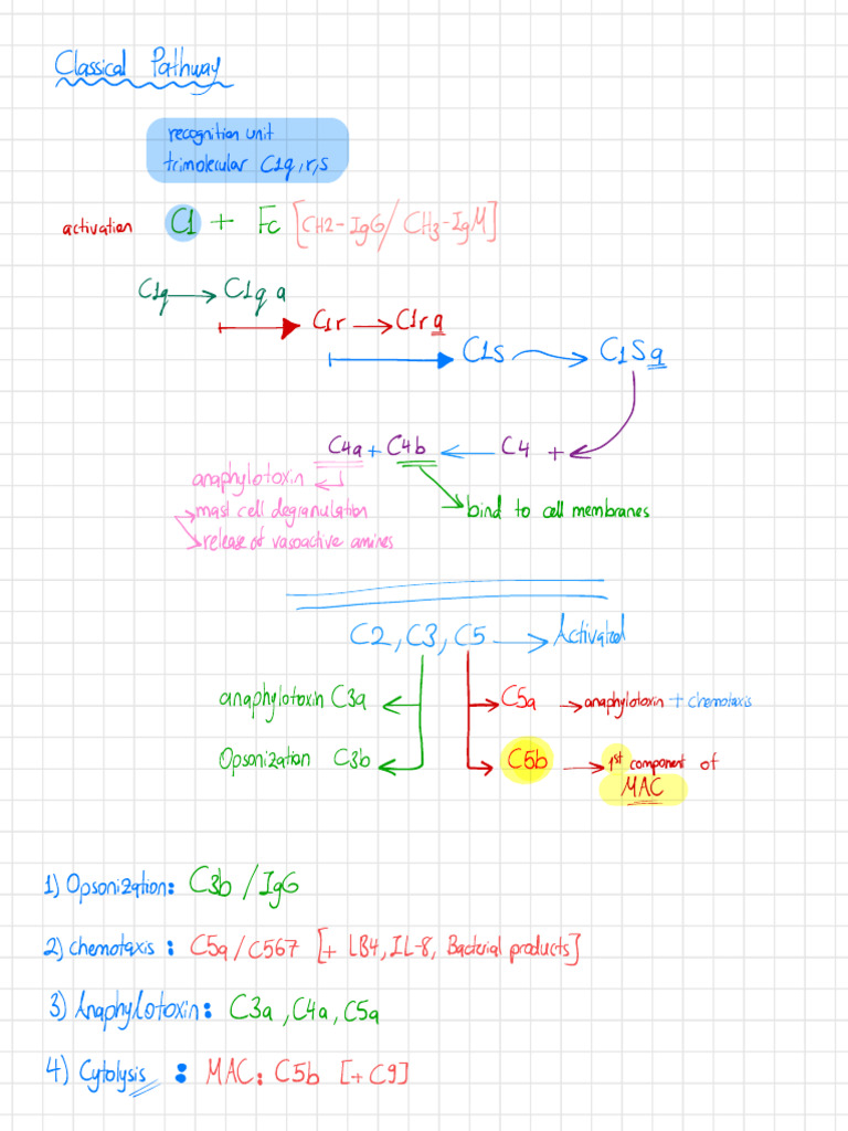 Classical Pathway | PDF