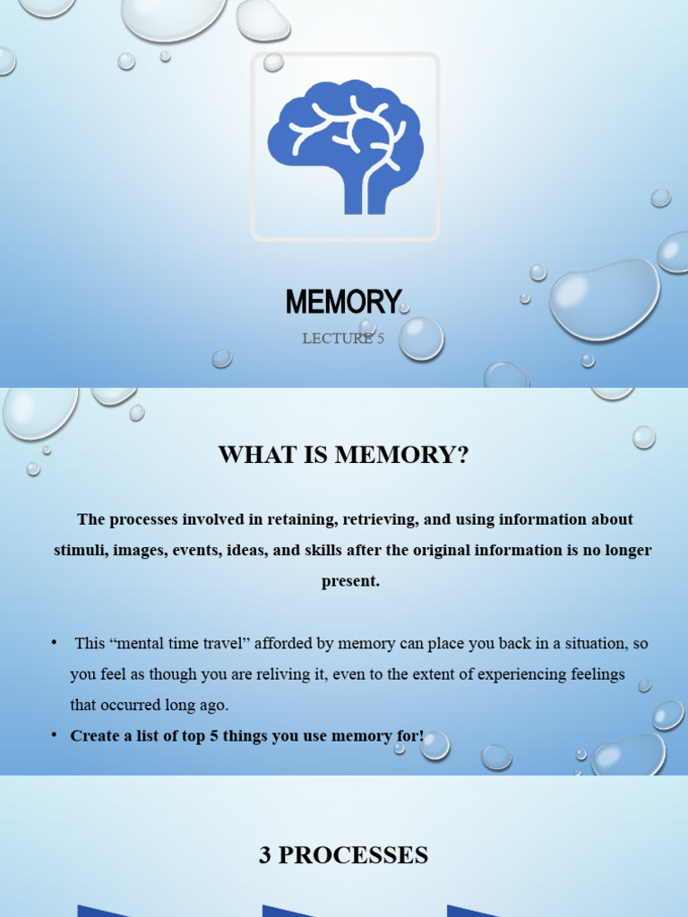 Memory | PDF | Long Term Memory | Memory