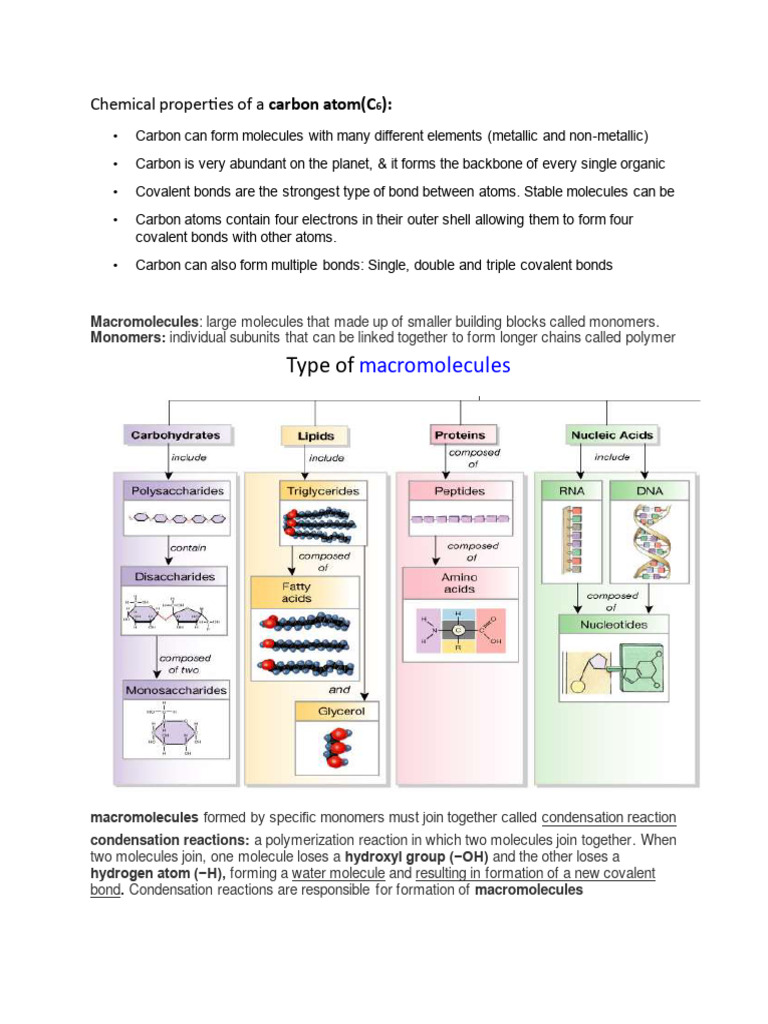 B1.1 Carbohydrates and Lipids | PDF