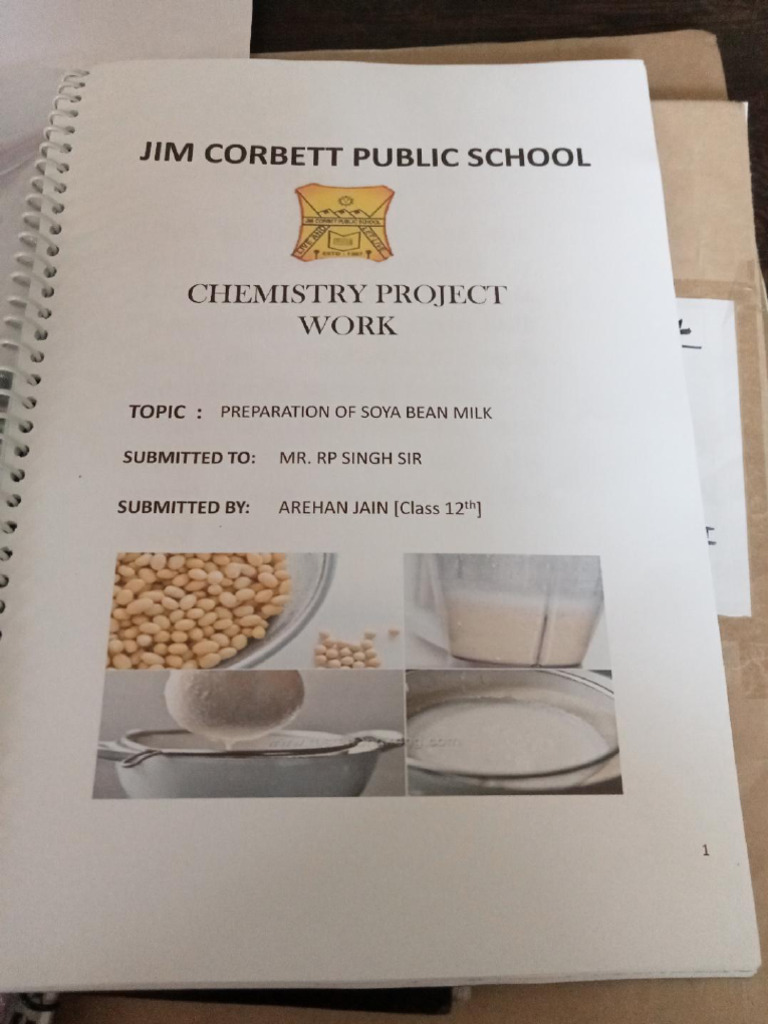 Chemistry File Class 12th | PDF