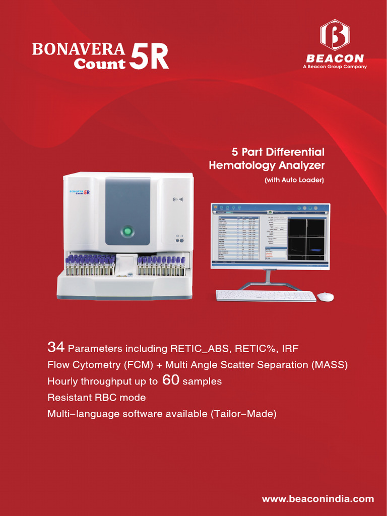 Bonavera Count 5r - International Wal | PDF | Technology & Engineering