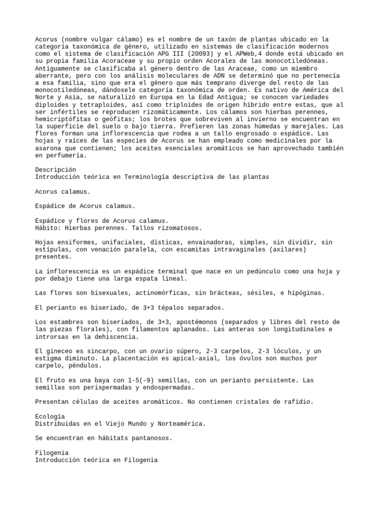Acoraceae: Taxonomía y Usos de Acorus | PDF | Morfología Vegetal | Plantas