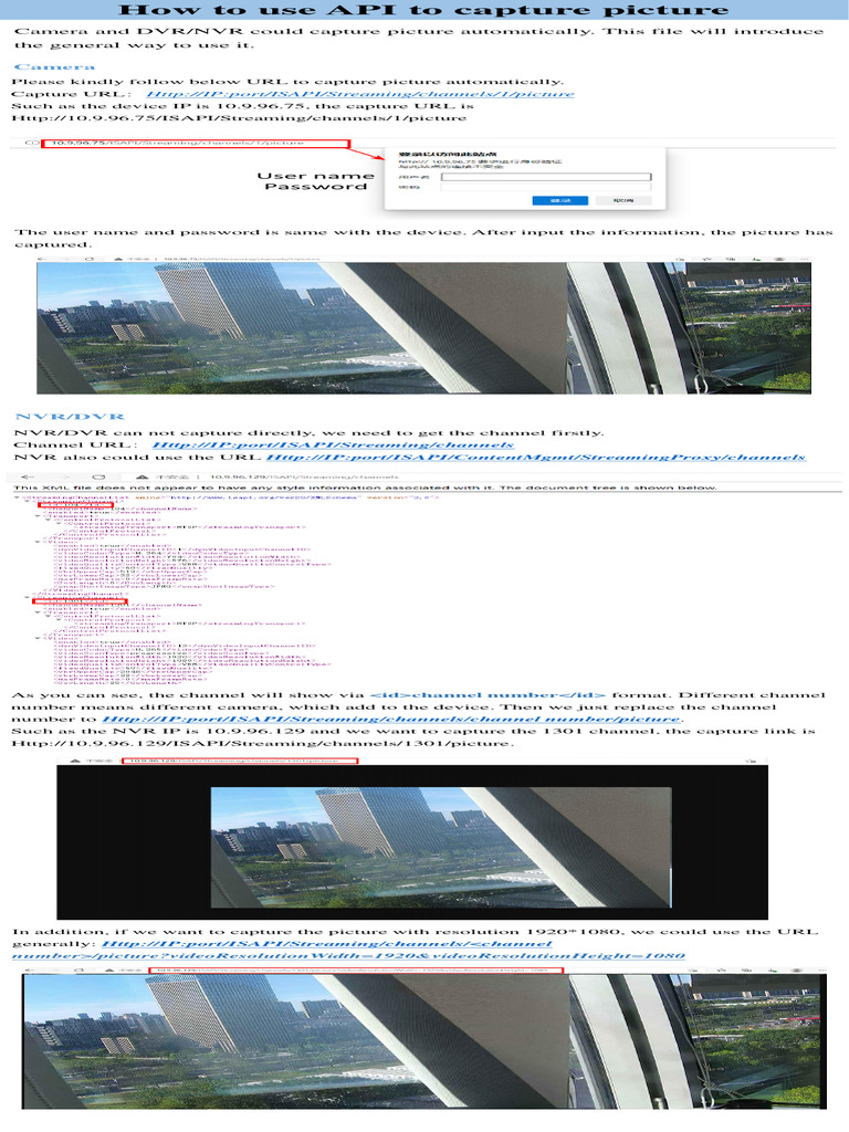How To Use API To Capture Picture-1 | PDF | Computers