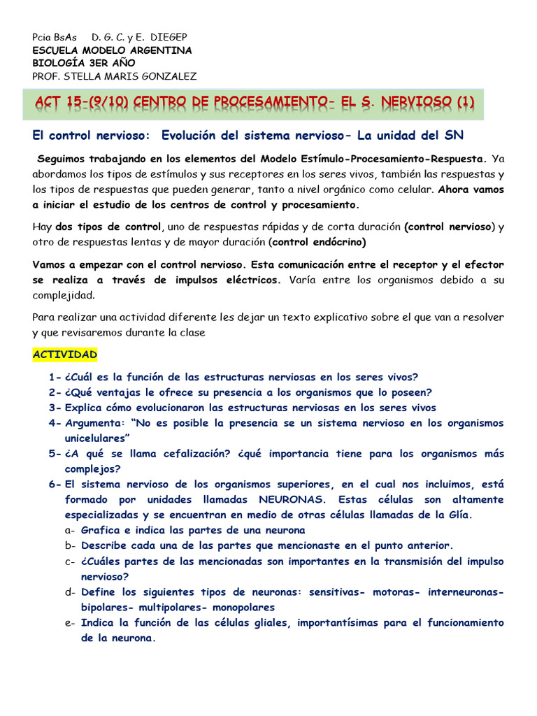 3ro E.M.A. Act 15 Sistema Nervioso Parte 1 | PDF | Sistema nervioso | Cerebro