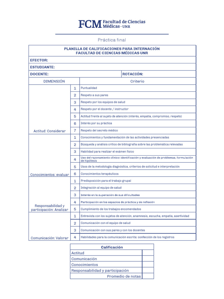 Calificacion Planillas Practica Final Internacion | PDF