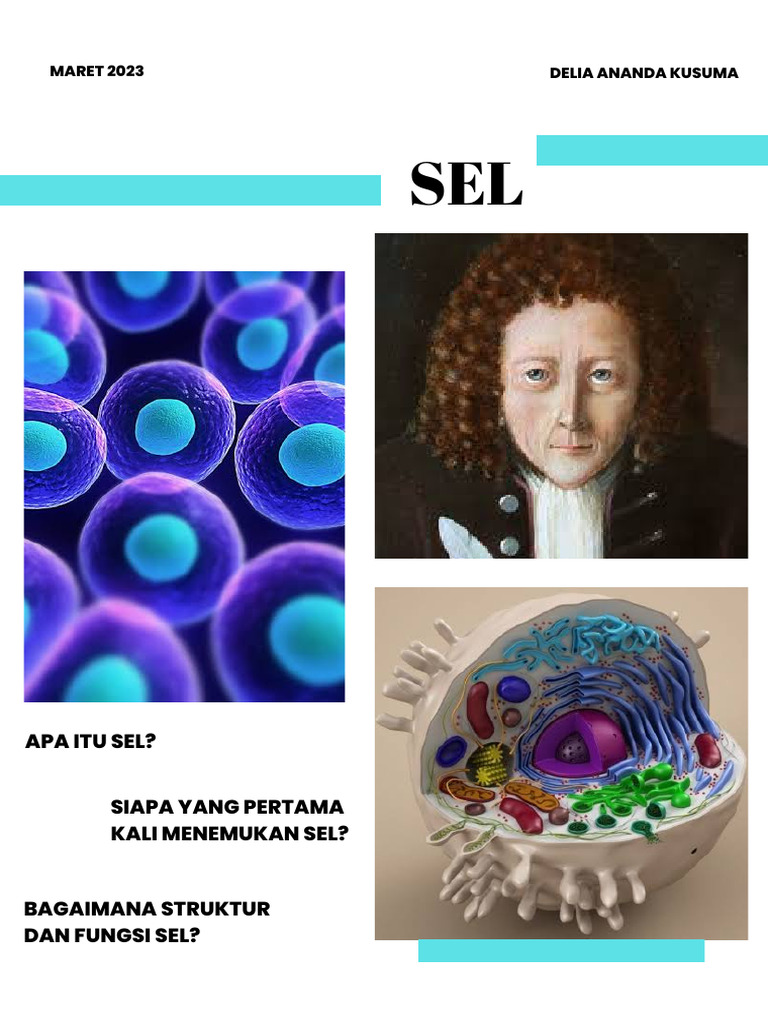 Majalah Sel Delia Ananda | PDF