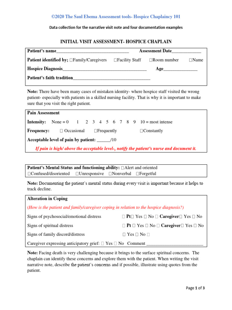 Initial Assessment Template 3 | PDF | Chaplain | Terminal Illness