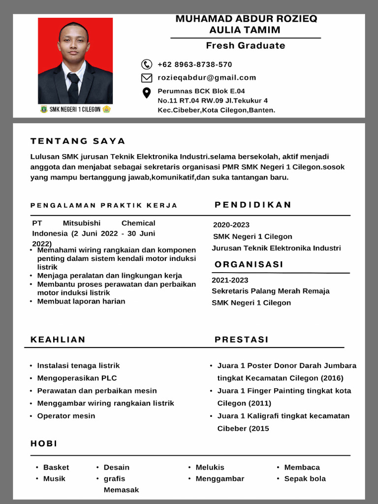 CV Abdur Rozieq PDF | PDF