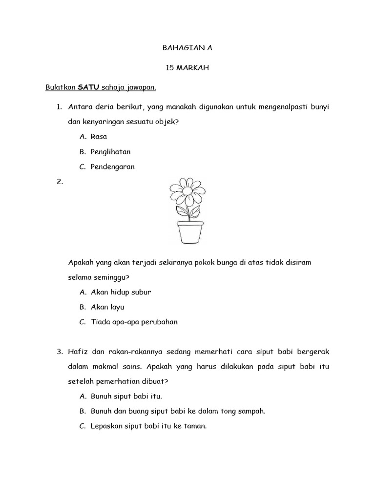 Sains Tahun 3 Pdf