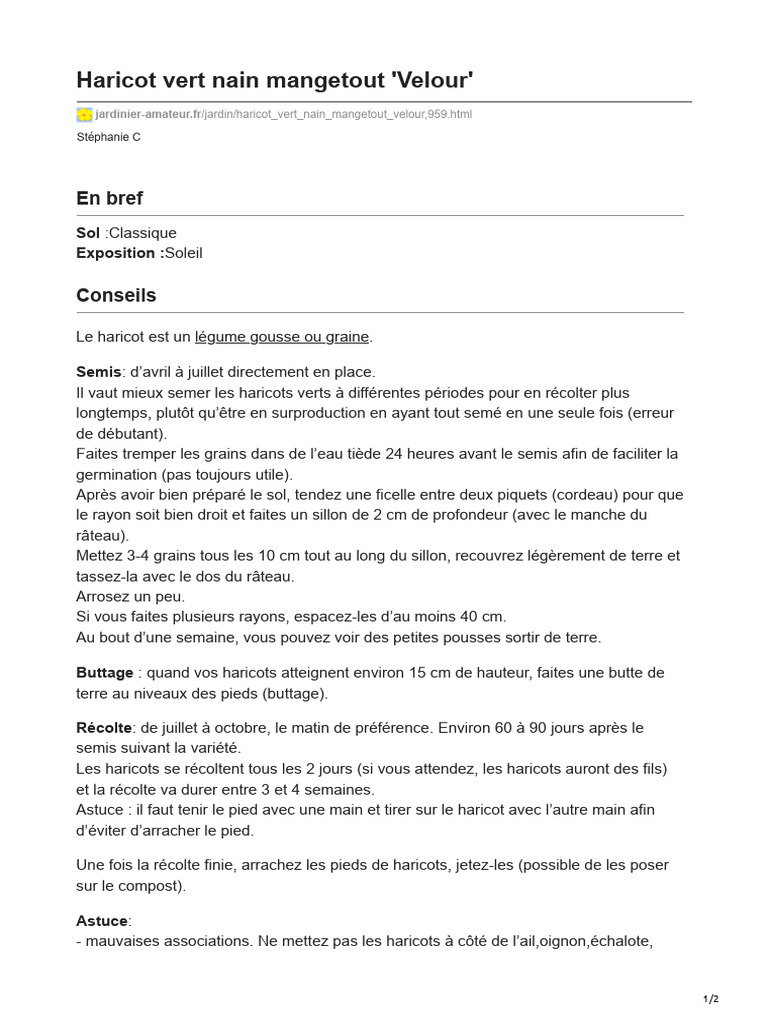 Haricot Vert Nain Mangetout Velour | PDF