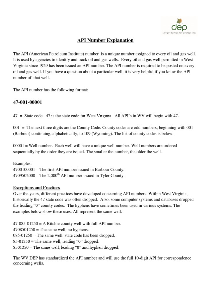 API Number Explanation | PDF | Petroleum | Trade Associations
