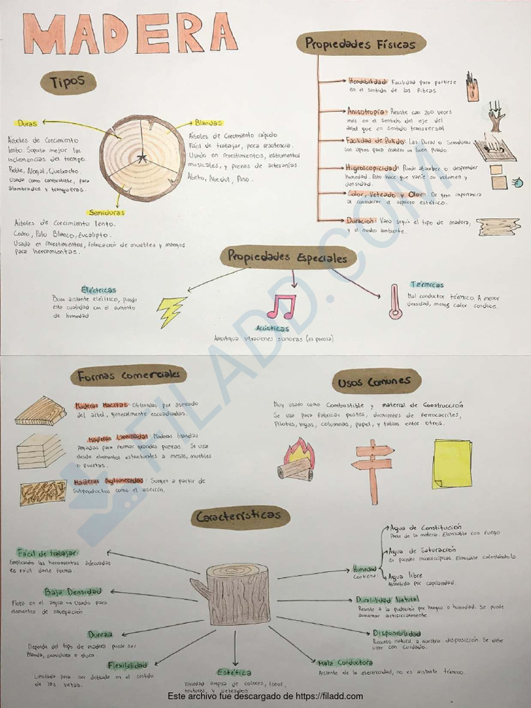 Infografia Madera | PDF