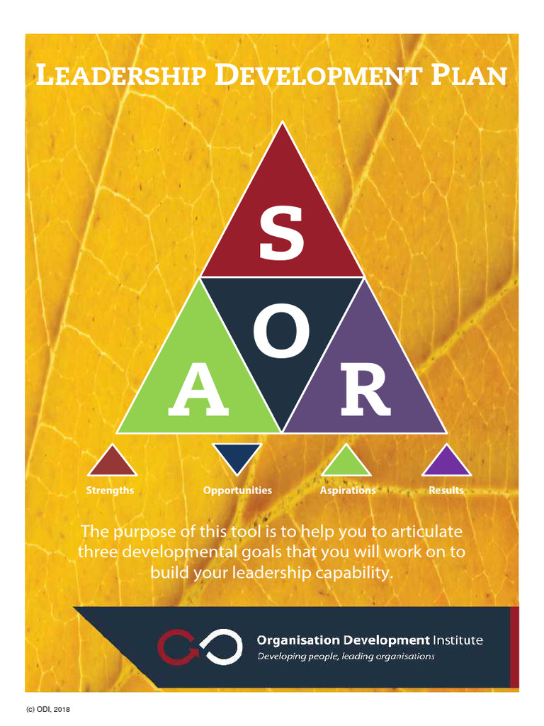 Leadership Development Plan Guide | PDF | Goal | Leadership