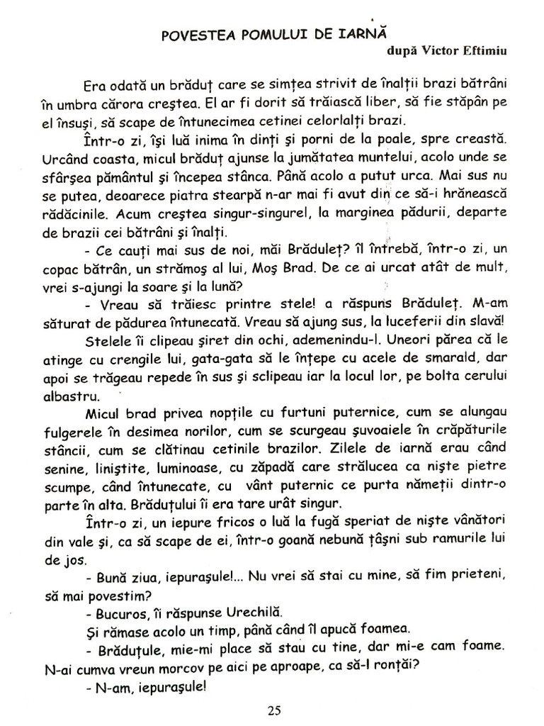 Povestea Bradului de Iarnă | PDF