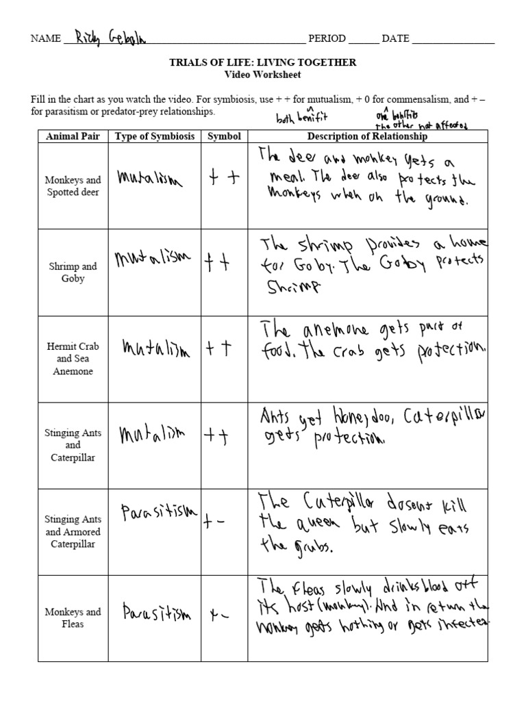 Trials of Life Video Worksheet | PDF | Parasitism | Symbiosis