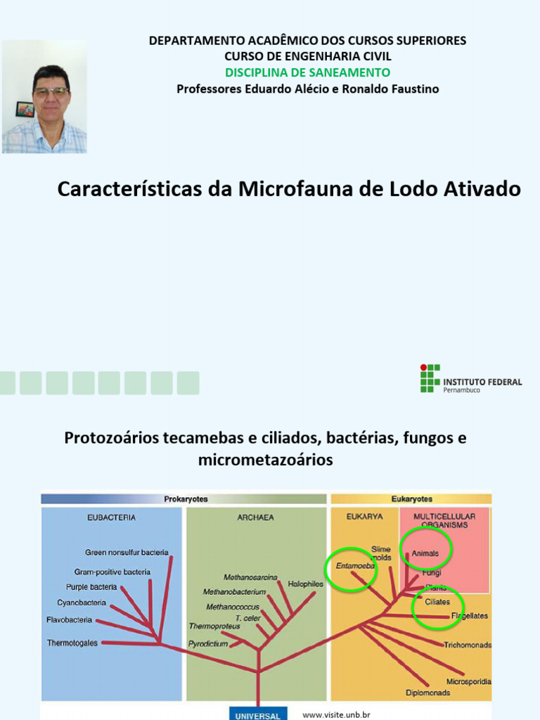 Microfauna do Lodo Ativado: Características | PDF | Protozoários ...