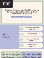 8.1.1.1 Sop Pemeriksaan Bta Mycobacterium Tuberculosis Metode ...